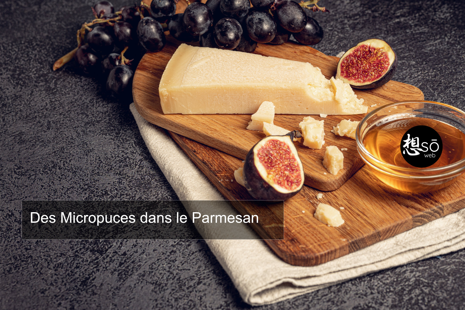 Des Micropuces dans le Parmesan – sō web – le blog